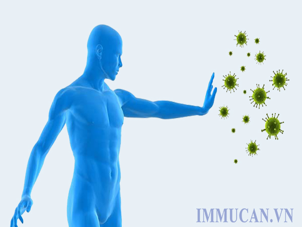 Bạn nên biết: Các loại thuốc tăng cường miễn dịch cho cơ thể - IMMUCAN