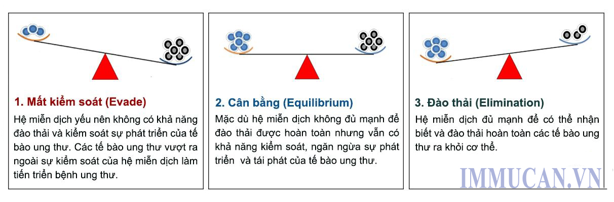 Liệu pháp miễn dịch tự nhiên: Tự tiêu diệt, kiểm soát ung thư - IMMUCAN
