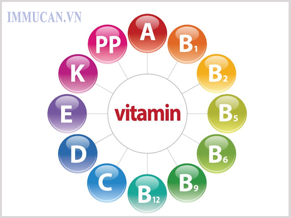 Thuốc tăng cường hệ miễn dịch cho người lớn: TOP 4 loại - IMMUCAN